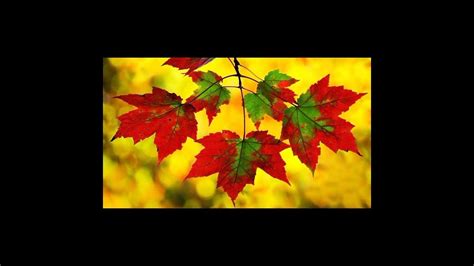 После бала Ни кого не пощадила эта осень Youtube