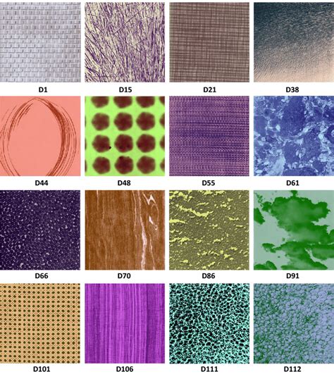 sample color images from brodatz database download scientific diagram
