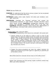 Reflex Lab II Docx Name Period TITLE Nervous Reflex Lab PURPOSE To Understand That The