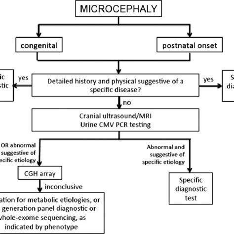 Figure A Diagnostic Approach To Evaluating The Neonate With Download Scientific Diagram
