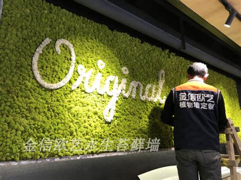 永生苔藓植物墙