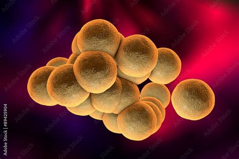 Staphylococcus Aureus Pyogenic Bacteria Purulent Bacteria Realistic Illustration Of Microbes