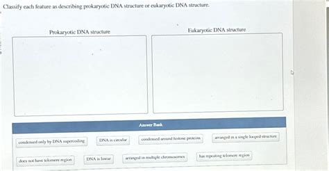 Solved Classify Each Feature As Describing Prokaryotic DNA Chegg