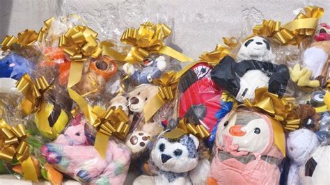 Donan Más De 500 Peluches Para Niños En Acogida Del Imas