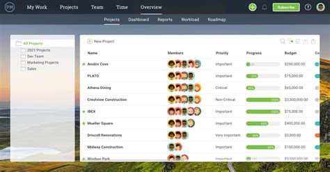 Ppm Tools Manage Your Project Portfolio Online