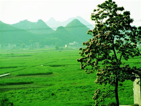 东屯乡图册 360百科