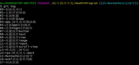 git拉取指定tag的代码 Git应用详解第八讲Git标签别名与Git gc CSDN博客