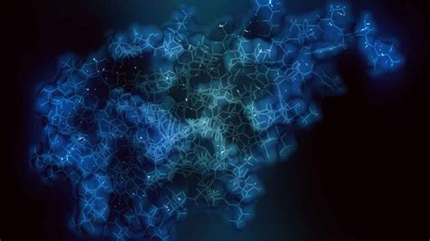 In Vitro Angiogenesis Assay Importanceandinsights Da Ta Biotech
