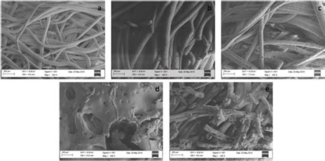 Scanning Electron Micrographs Of Wet Spun Plga At The End Of 90 Days Of