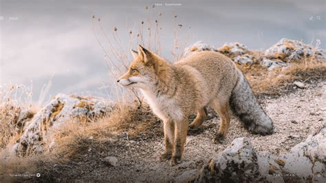 Why Gmail S Priority Inbox Doesn T Go Far Enough