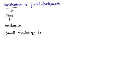 ⏩solved how does combinatorial control work in the context of floral