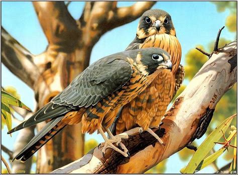 Nature At Its Best Sumit Panwar