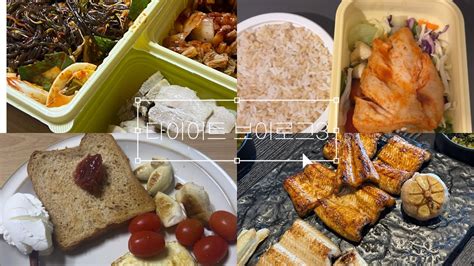 다이어트 브이로그 3 먹방 Youtube