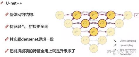图像分割 UNet系列算法 知乎