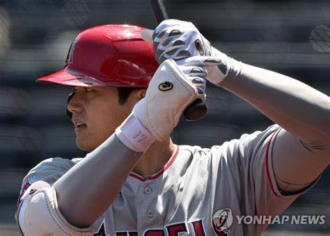 시즌 13호포 오타니 이틀 연속 대포mlb 홈런 단독 선두 연합뉴스
