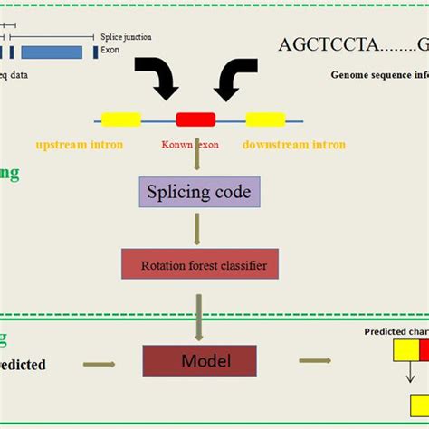 The Framework Of Rotation Forest Classifier To Predict Es Events With