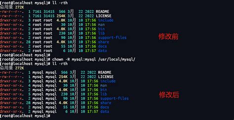 MySQL系列文章Linux环境下安装部署MySQL linux 部署mysql CSDN博客