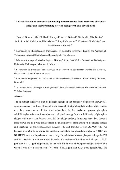 Pdf Characterization Of Phosphate Solubilizing Bacteria Isolated From Moroccan Phosphate