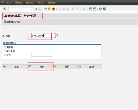 【sap】前世今生系列（四）「sap Gui」 Csdn博客