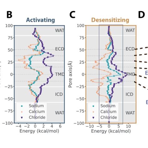 State Dependent Ion Interactions From Permeation Free Energy Profiles