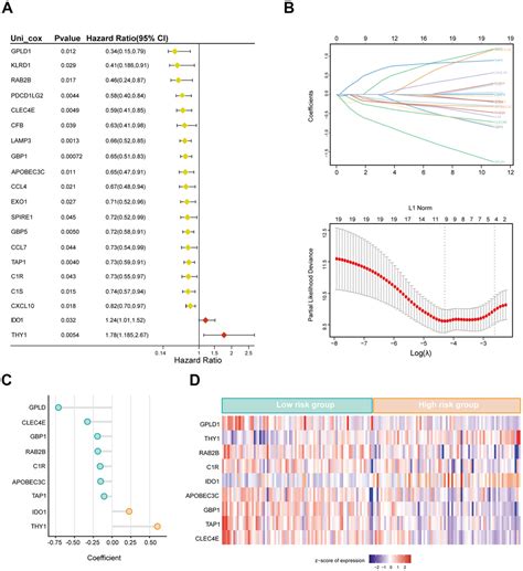 A Novel Cuproptosis Associated Immune Risk Model For Prediction Of