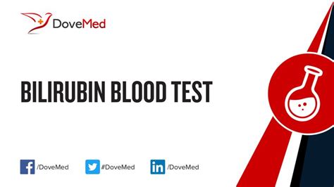 Bilirubin Blood Test
