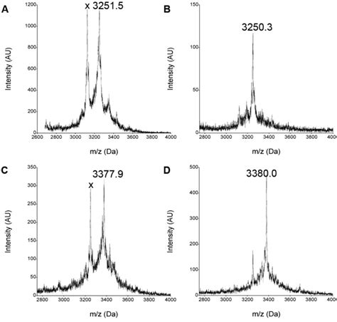 In Vitro Selection Of Highly Modified Cyclic Peptides That Act As Tight Binding Inhibitors Pmc
