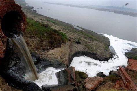Save Ganga Promote Bangla