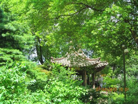夏天绿树成荫的诗句 夏天树木葱茏的诗句 绿树成荫的意思 大山谷图库