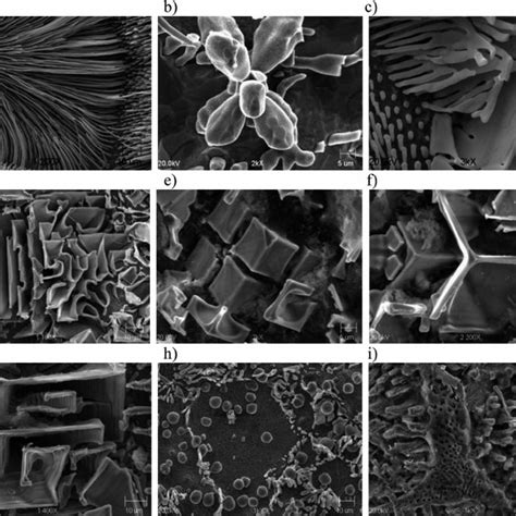 Microstructures Found In Fe C V And Fe C V Si Alloys Eutectic Cell In Download Scientific