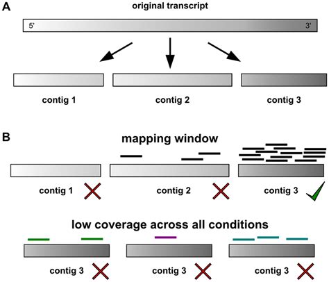 Filtering Of Reference Transcripts For Quantification A Theoretical