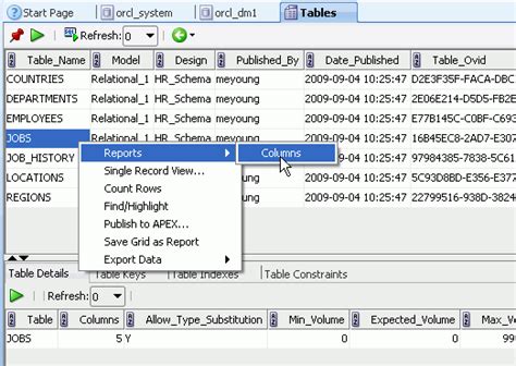 Reviewing Your Oracle SQL Developer Data Modeler Design