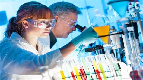 40 Clep Online Courses For 2026 Explore Free Courses