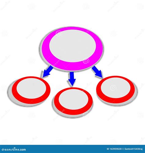 Blank Diagram Of Classification With Three Branche Stock Illustration
