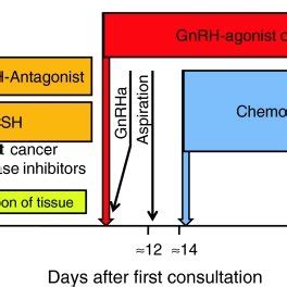 Combination Of The Various Fertility Preservation Methods To Increase Download Scientific