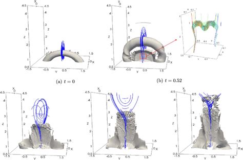 Snapshots Of The Global Evolution Of Current Density And Magnetic