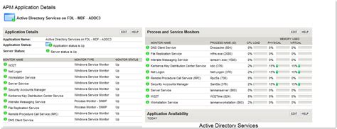 3 Instances Of Lsass Forum Server And Application Monitor Sam Thwack