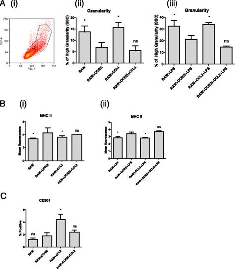 M1 M2 Polarization Of Macrophages Involves Ccr2 Signalling Raw Cells Download Scientific