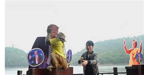 The Evidence Is Irrefutable Album On Imgur