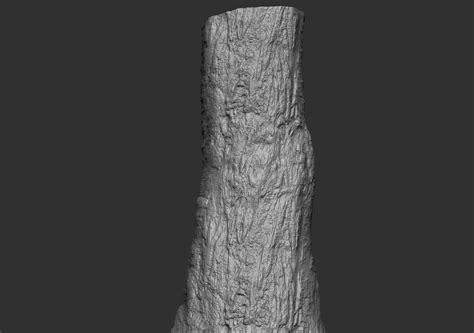 Tree Bark Zbrush CGTrader