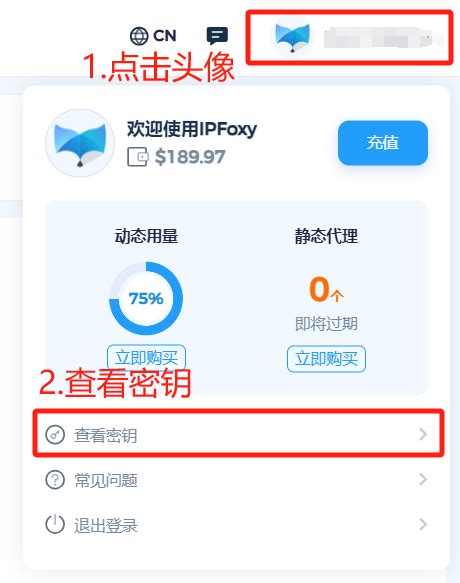 Api调用示例 Ipfoxy帮助中心：代理设置指南