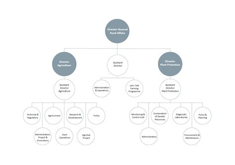 Structure The Department