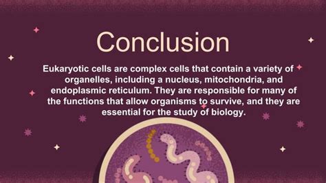 Eukaryotic Cell Structures And Functions Pptx