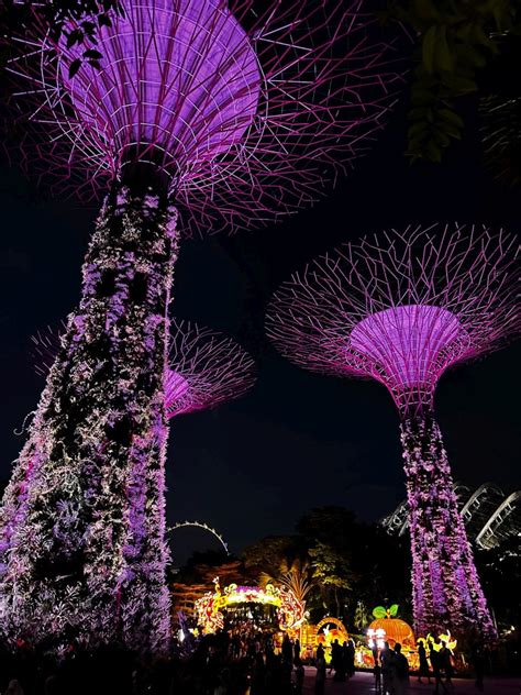 싱가포르 2일차 일정 보타닉가든오차드로드칠리크랩플라이어가든즈플라워돔슈퍼트리빅버스리버크루즈가든랩소디부기스마켓 네이버 블로그