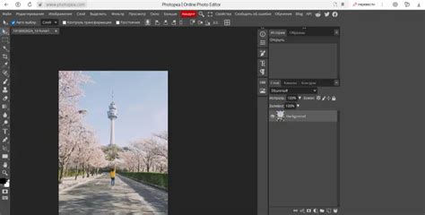 13 лучших бесплатных аналогов Photoshop в 2025 Icecream Apps