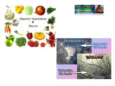 SONU ACADEMY Autotrophic Heterotrophic And Mixotrophic Nutrition TEXT