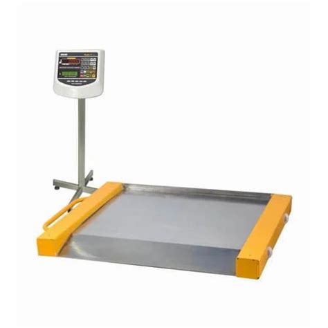 MS Ramp Platform Scale At Rs In Gurgaon ID