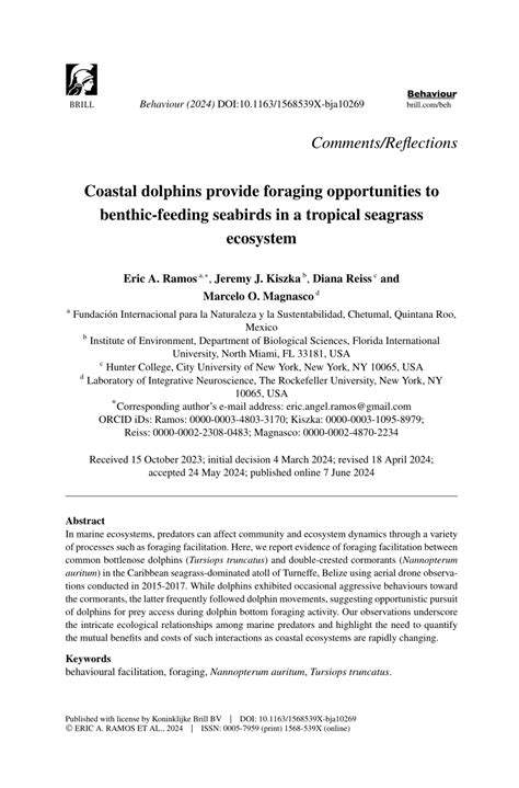 Pdf Coastal Dolphins Provide Foraging Opportunities To Benthic Feeding Seabirds In A Tropical