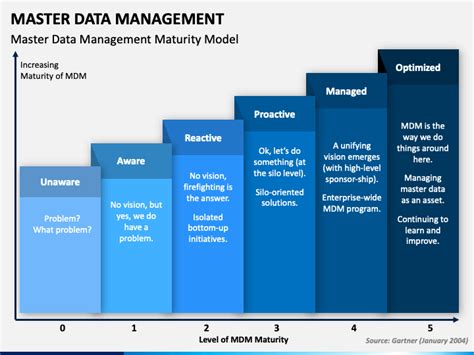 Master Data Management Template
