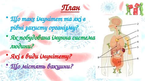 Презентація Захист нашого тіла ззовні і всередині Пізнаємо природу 5 клас НУШ